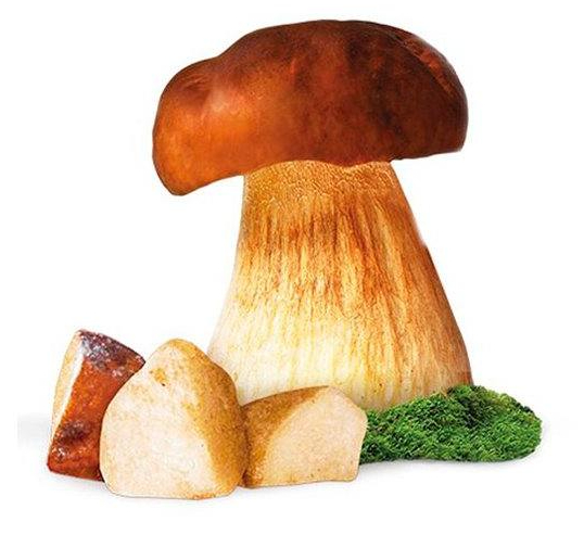 Mražené houby - bossfood.cz